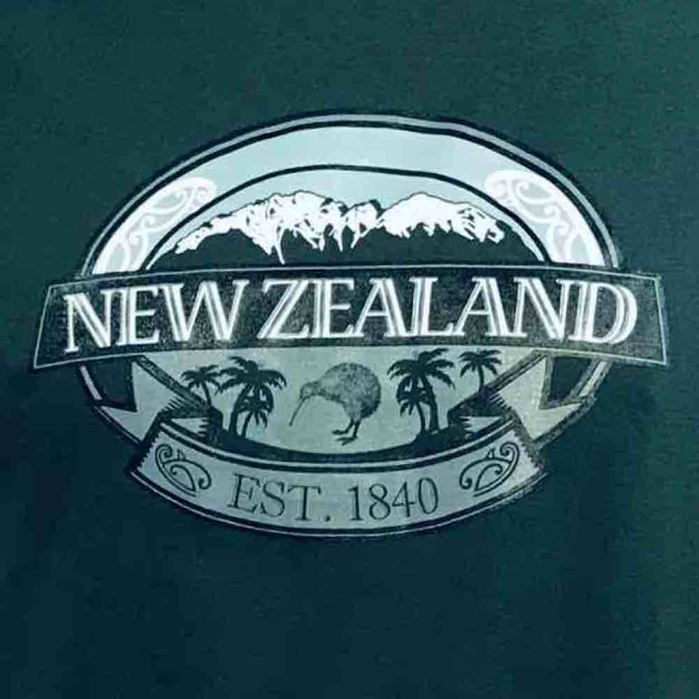 Mens New Zealand T Shirt - Mountains Kiwi – Wild Kiwi